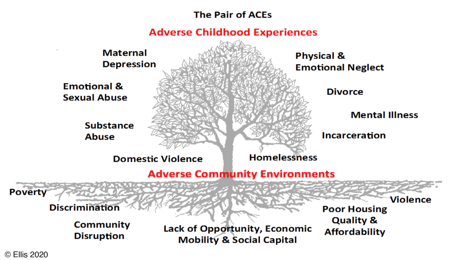 Research Initiative on ACEs and Trauma