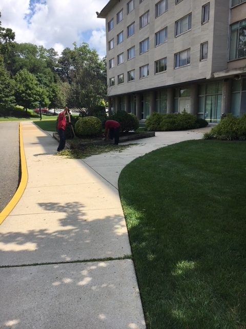 New Student Resident Move In | Campus Housing