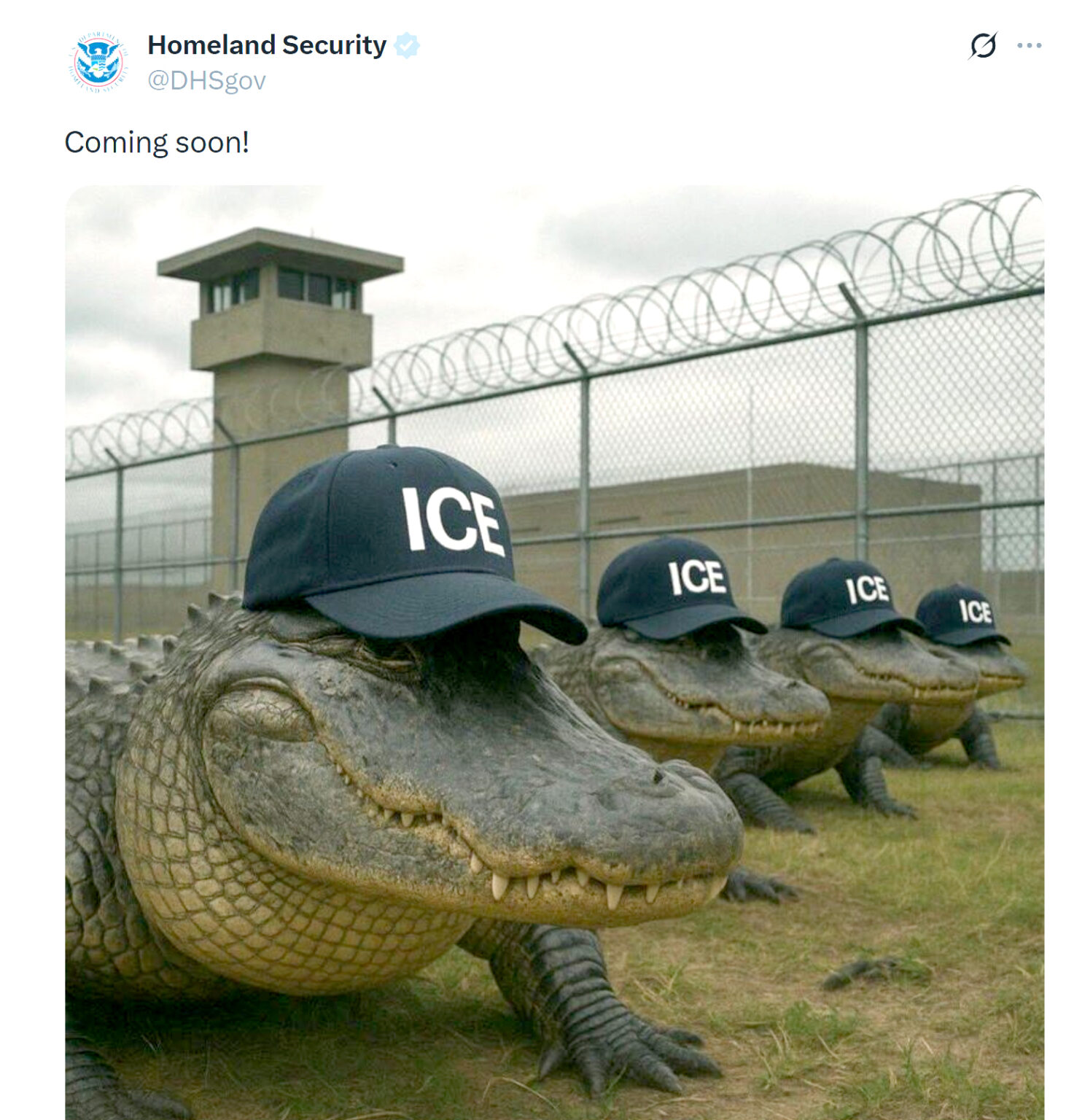 The Moral Depravity of Alligator Alcatraz | President's Office