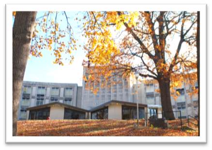Picture1 | Trinity Washington University